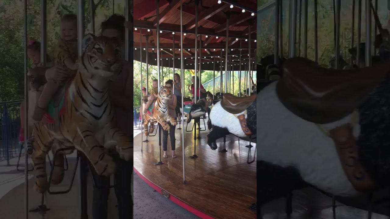 Houston Zoo Carousel - YouTube