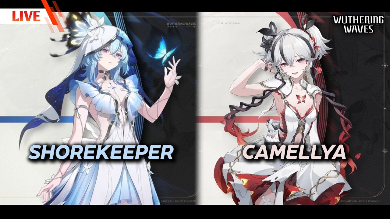 🔴SPECIAL PROGRAM WUWA TANGGAL 20, JANGAN LUPA! Ep.183 | Wuthering Waves ...