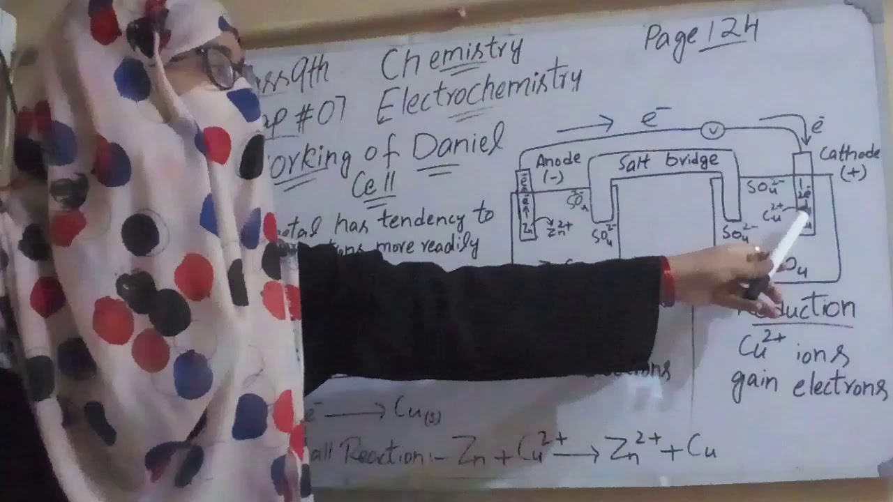 Class 9th Working of Daniel Cell - YouTube