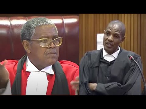 Judge Ratha Doesn't Stop To Become A Witness As Adv Mnisi Is On! - YouTube