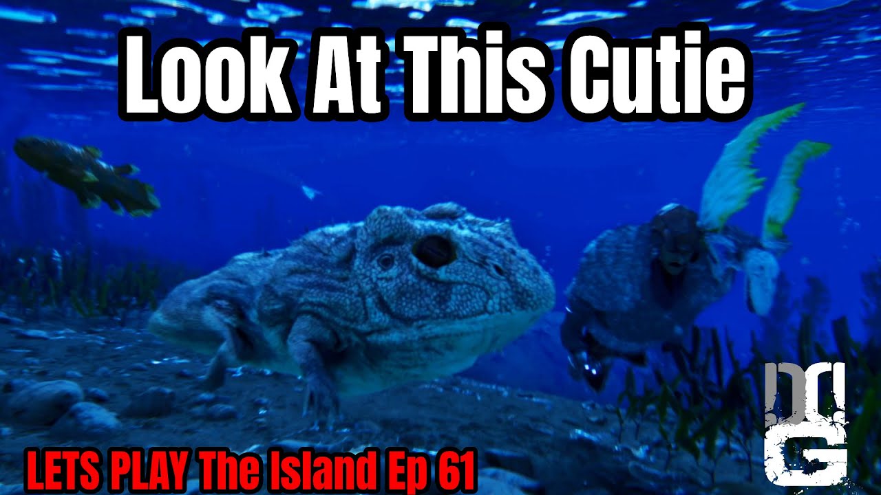 We Got Tadpoles! - Ark Ascended - The Island - EP 61 - YouTube
