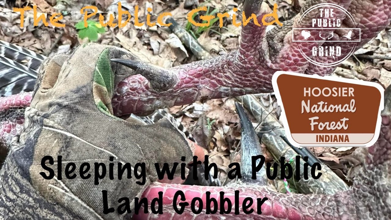 Sleeping with a Gobbler For a Gobbler! Hoosier National crazy hunt ...
