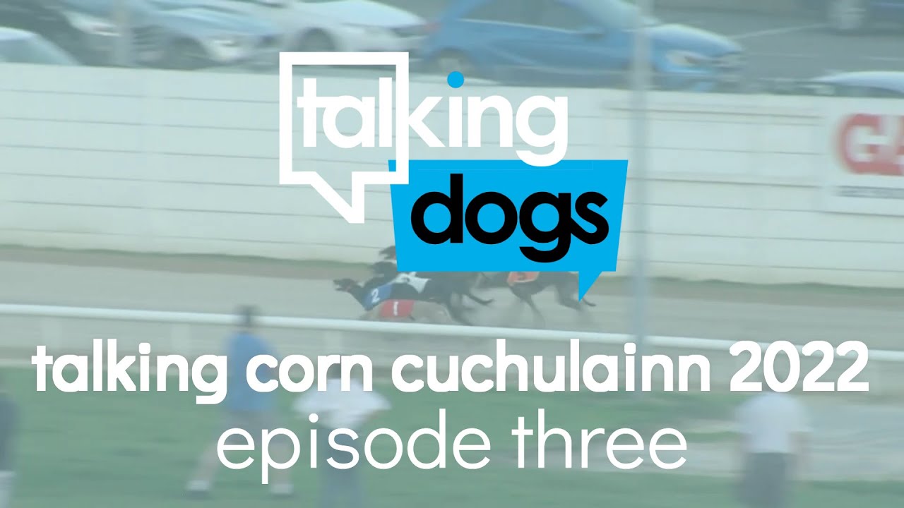 Talking Corn Cuchulainn 2022 Episode 3: Monday 11th July - YouTube
