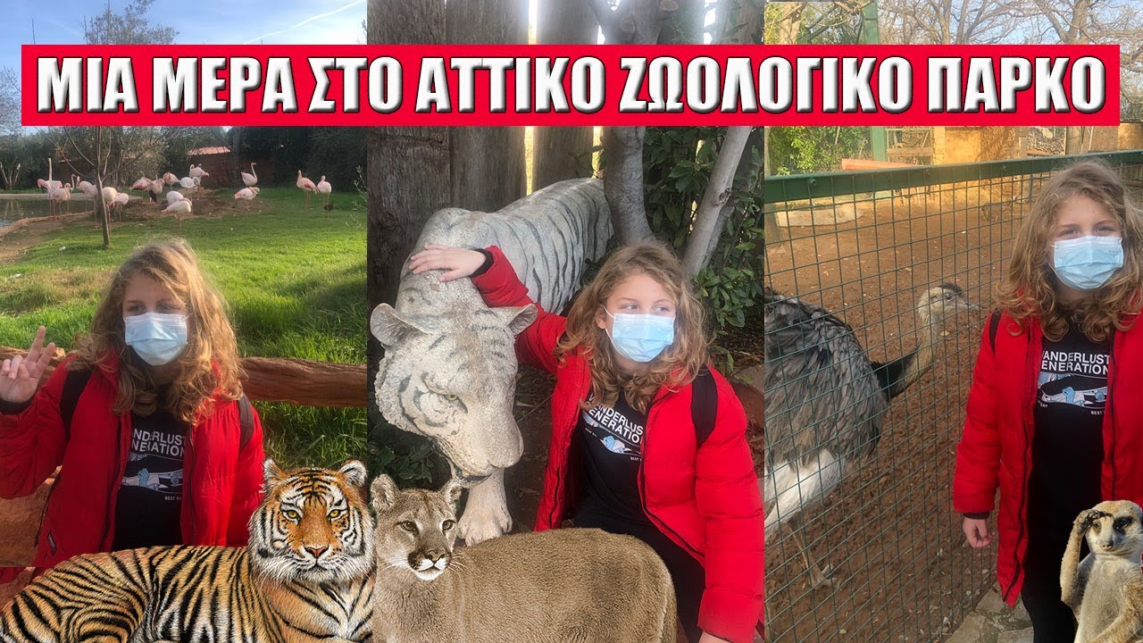 ΜΙΑ ΜΕΡΑ ΣΤΟ ΑΤΤΙΚΟ ΖΩΟΛΟΓΙΚΟ ΠΑΡΚΟ! | One day at the zoo - YouTube