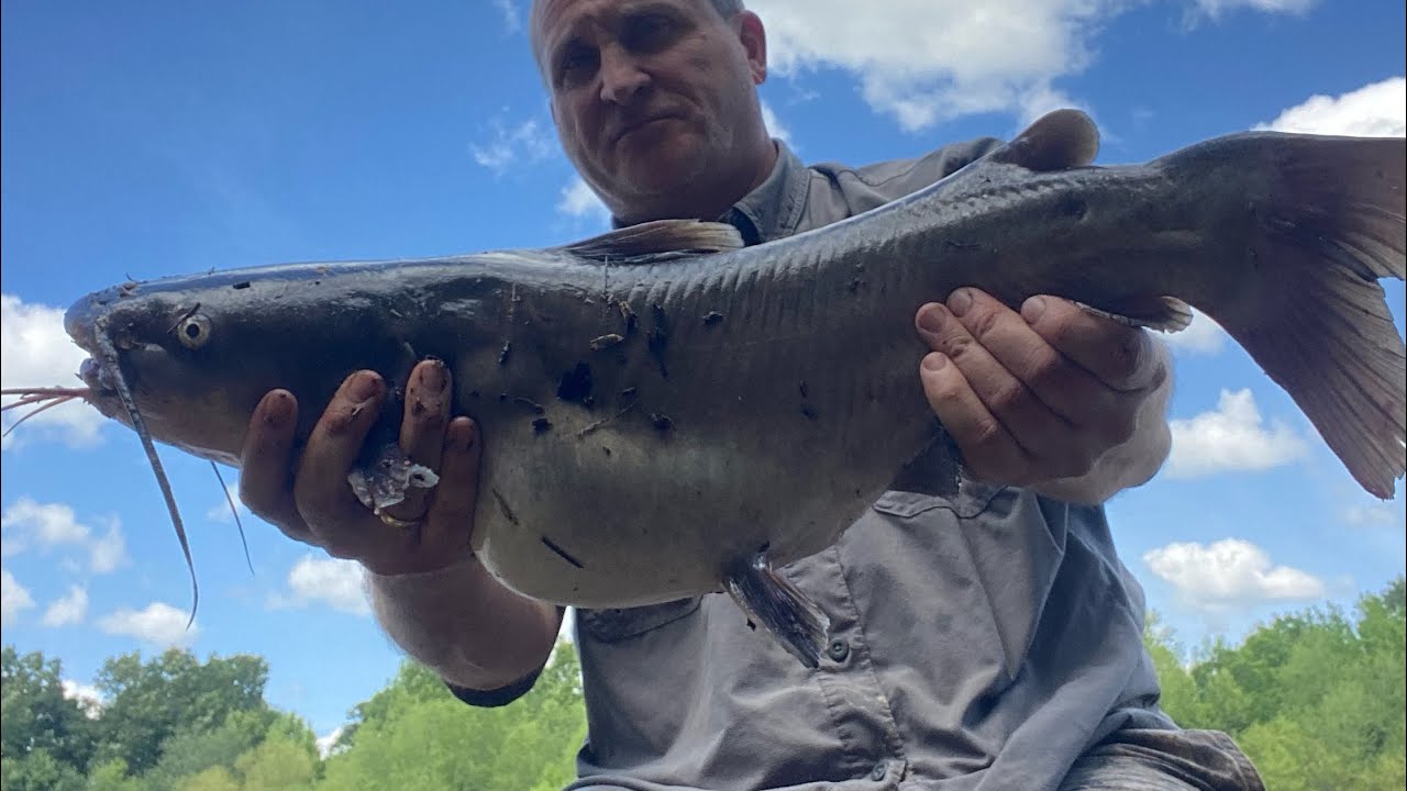 Catching Catfish (Season 4 Episode 12) - YouTube