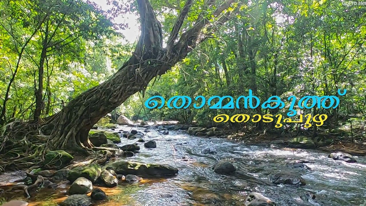 Thommankuthu Waterfalls, Vannapuram, Thodupuzha - YouTube