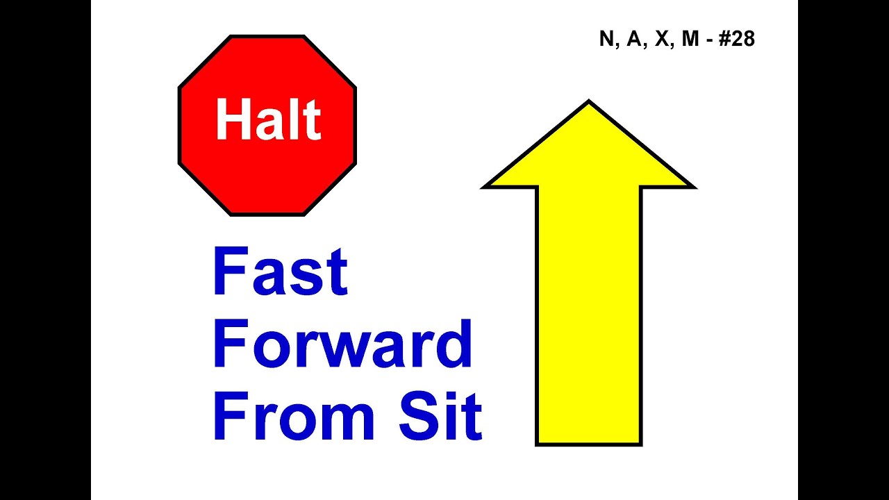 ANKC 2021 Rally Sign #28: Halt - Fast Forward from Sit (Novice) - YouTube
