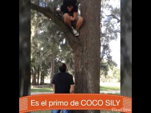 El primo de "COCO SILY " - YouTube