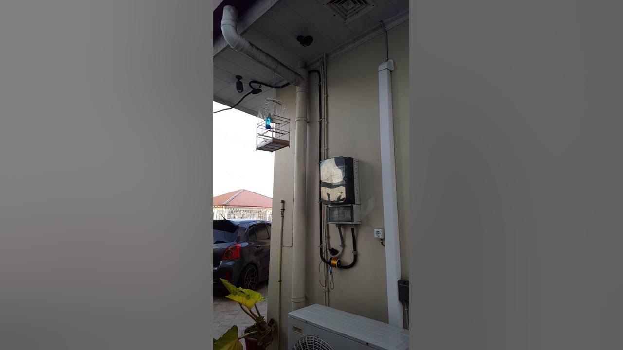 Picolet New fluiter - YouTube