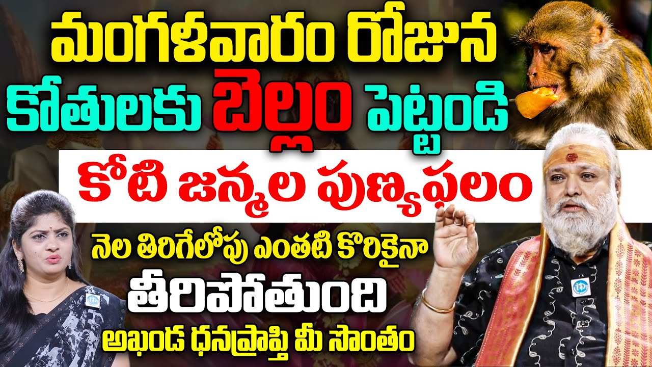 Jaya Shankar | మంగళవారం రోజున కోతులకు బెల్లం పెడితే..? | iDream ...