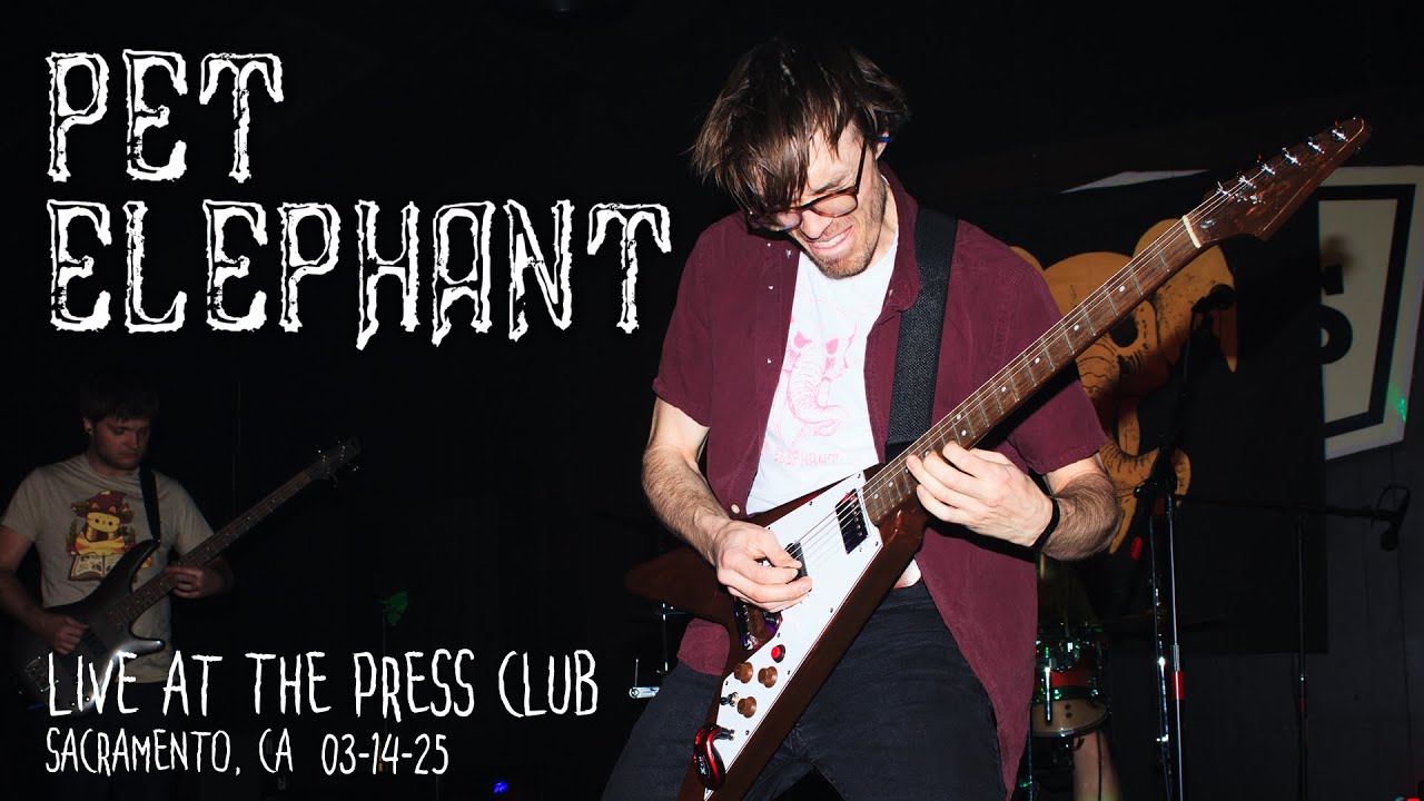 Pet Elephant - THE FINAL SHOW | Live at the Press Club - YouTube