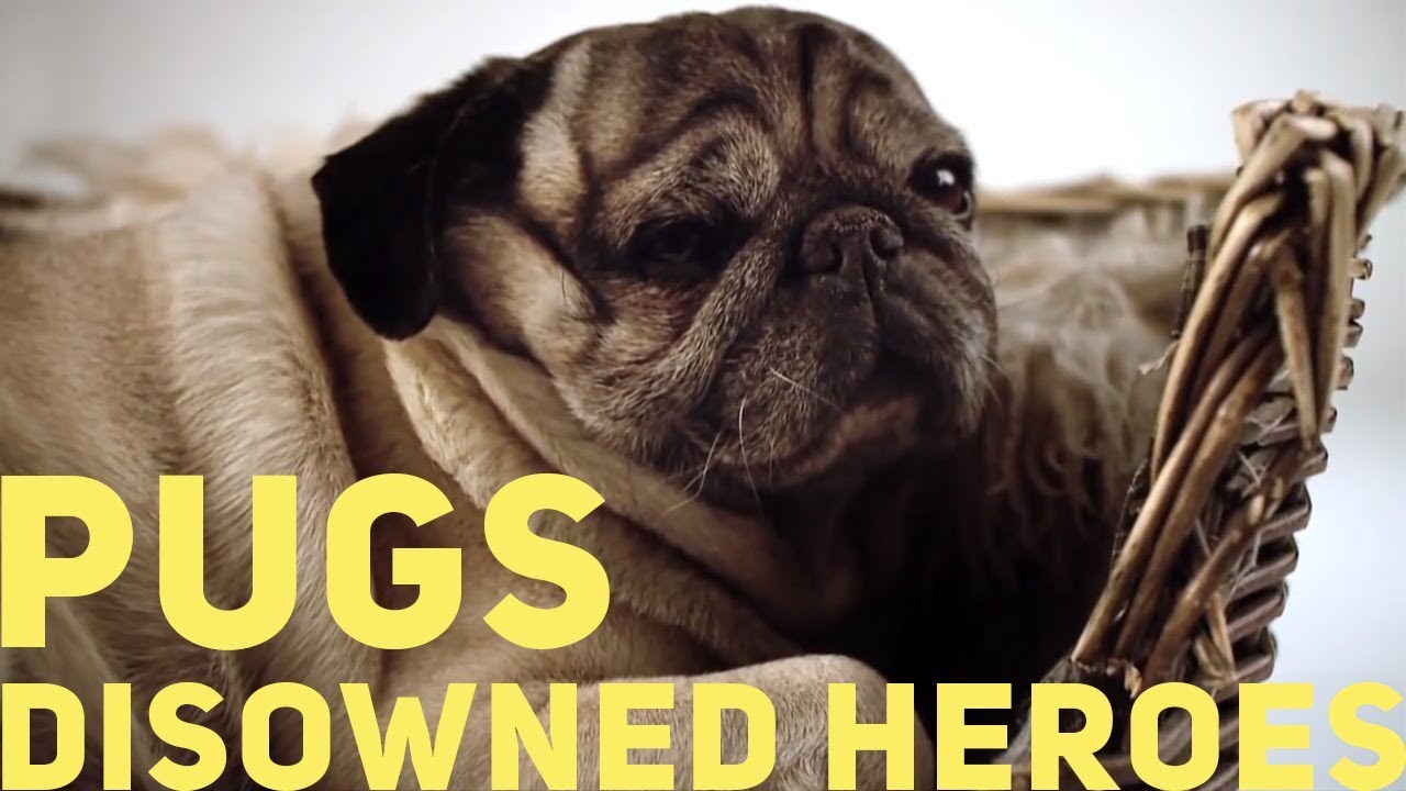 Pugs - Disowned Heroes (2011) - YouTube