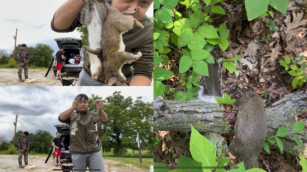 Hunting and cooking amazing taste squirrels curry - YouTube