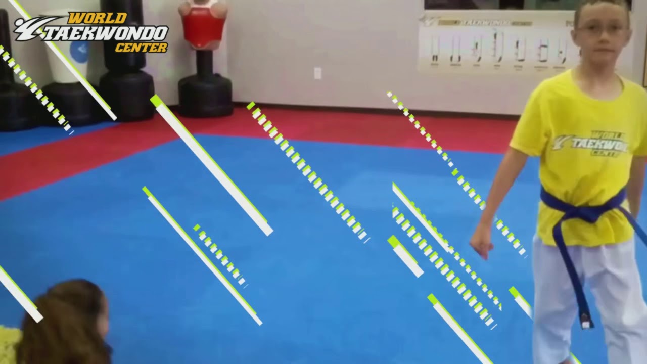 2019 WTC Summer Camp. * Week 2 ~ Agility * - YouTube