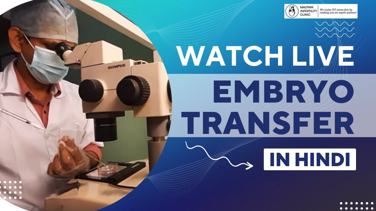 Live Embryo Transfer In Hindi IVF Treatment Embryo Transfer Process Live Embryo Transfer In Hindi IVF Treatment Embryo Transfer Process