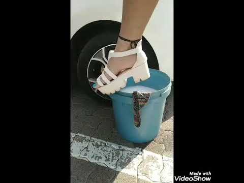 Bikini Car Wash Battles