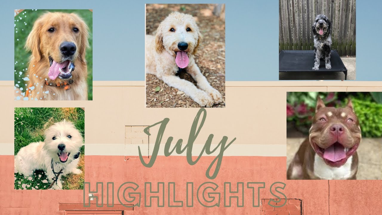 July Highlights! - YouTube