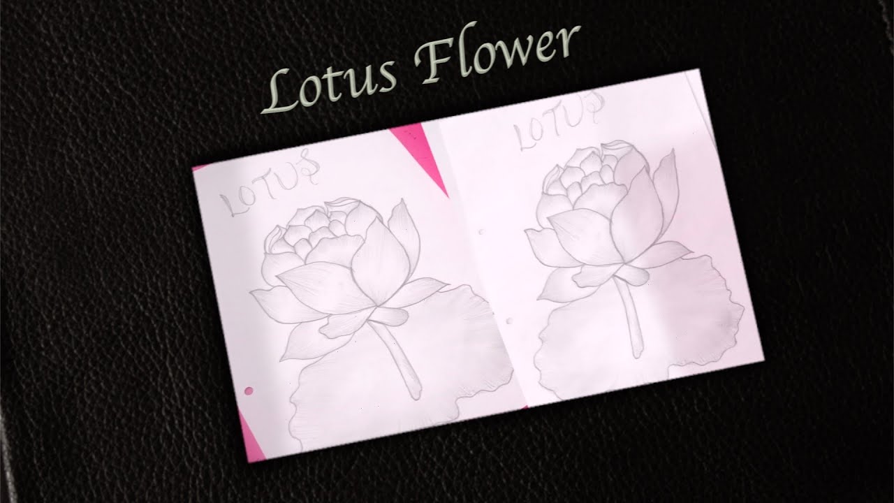 “Lotus Shading: Khubsurti aur Aastha ka Sangam” - YouTube