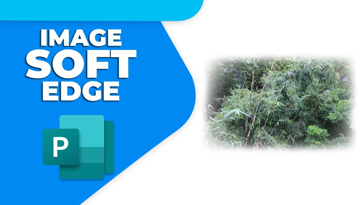 How to make image soft edge in Publisher - YouTube