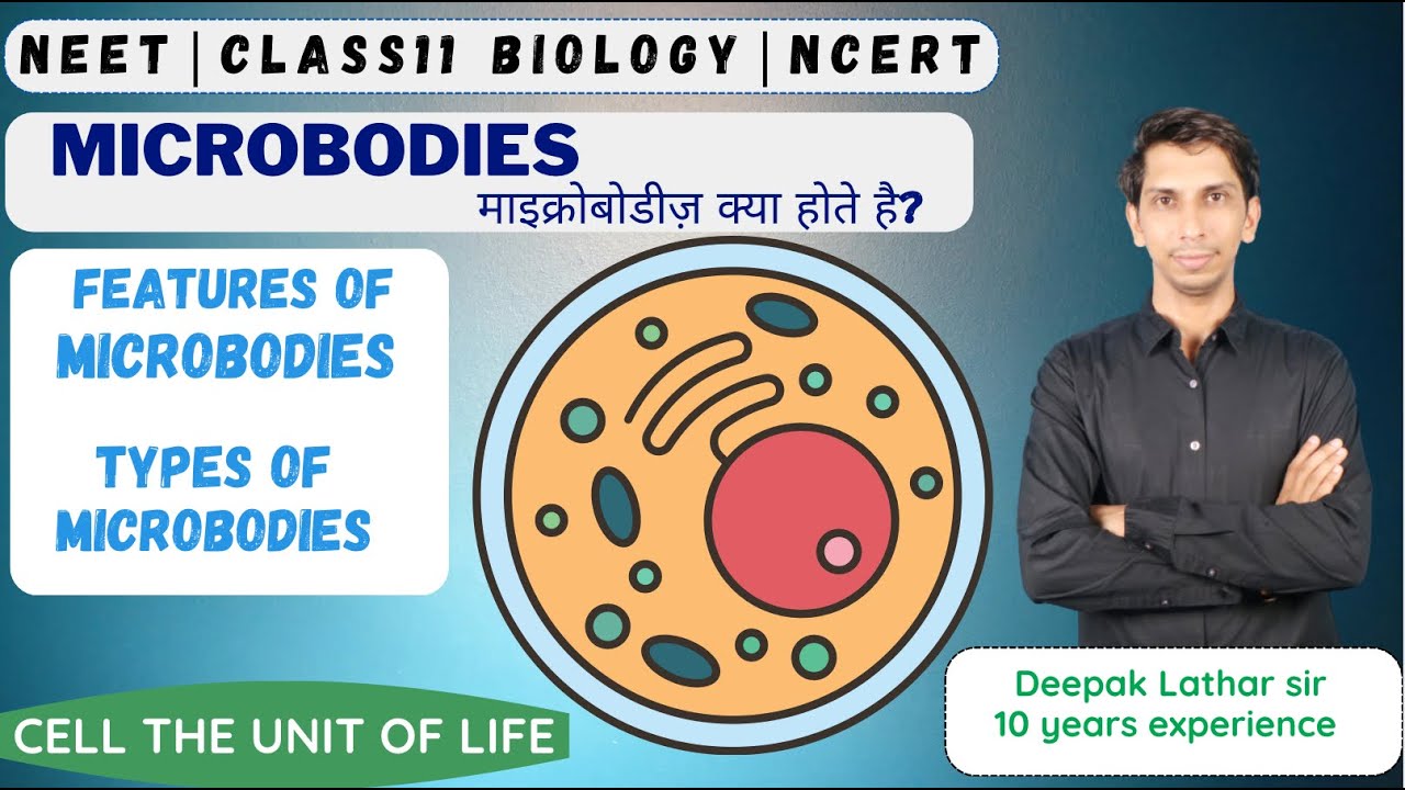 MICROBODIES | Features of Microbodies | Types of Microbodies ...