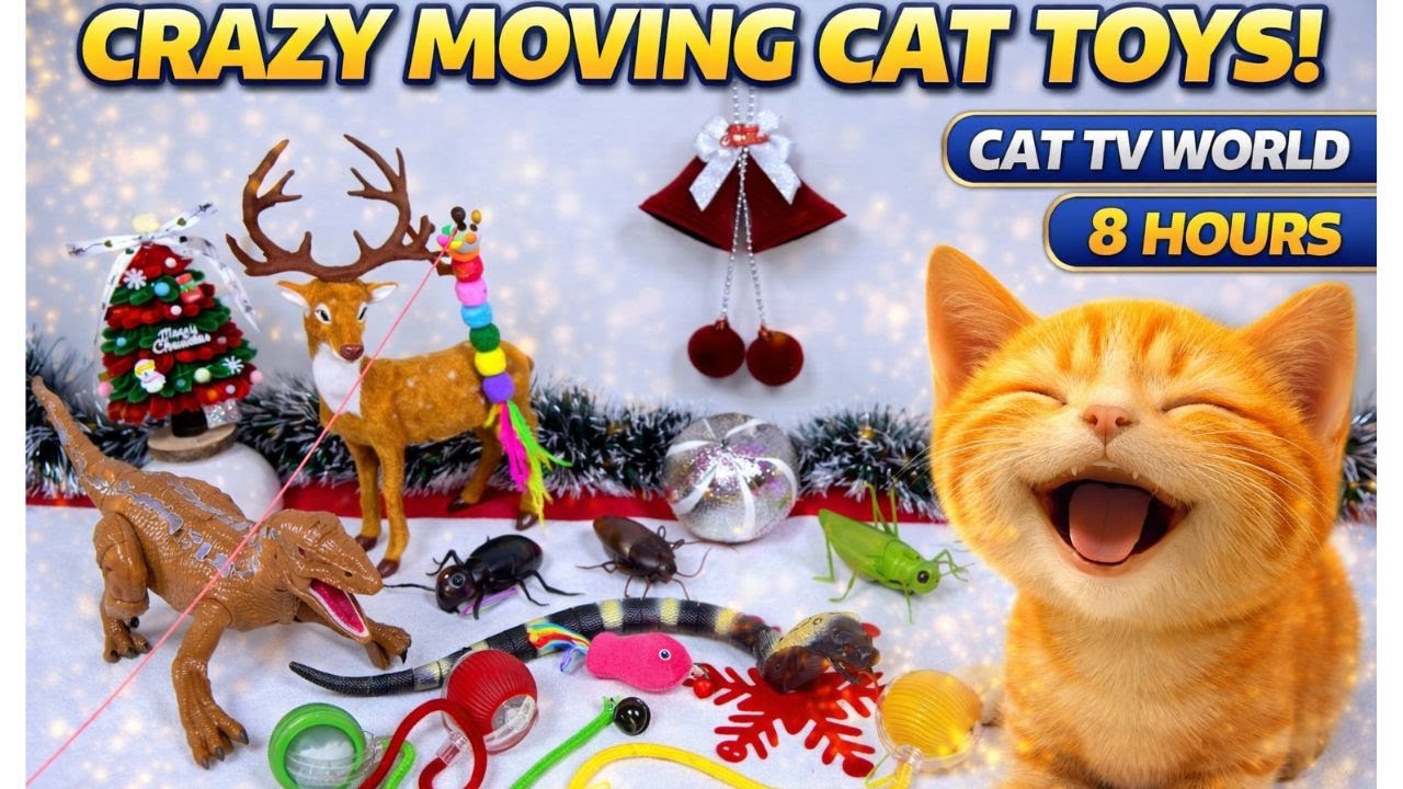 Cat TV World | Crazy Moving Cat Toys 🦖🐭 | 8 Hours of Fun for Cats - YouTube
