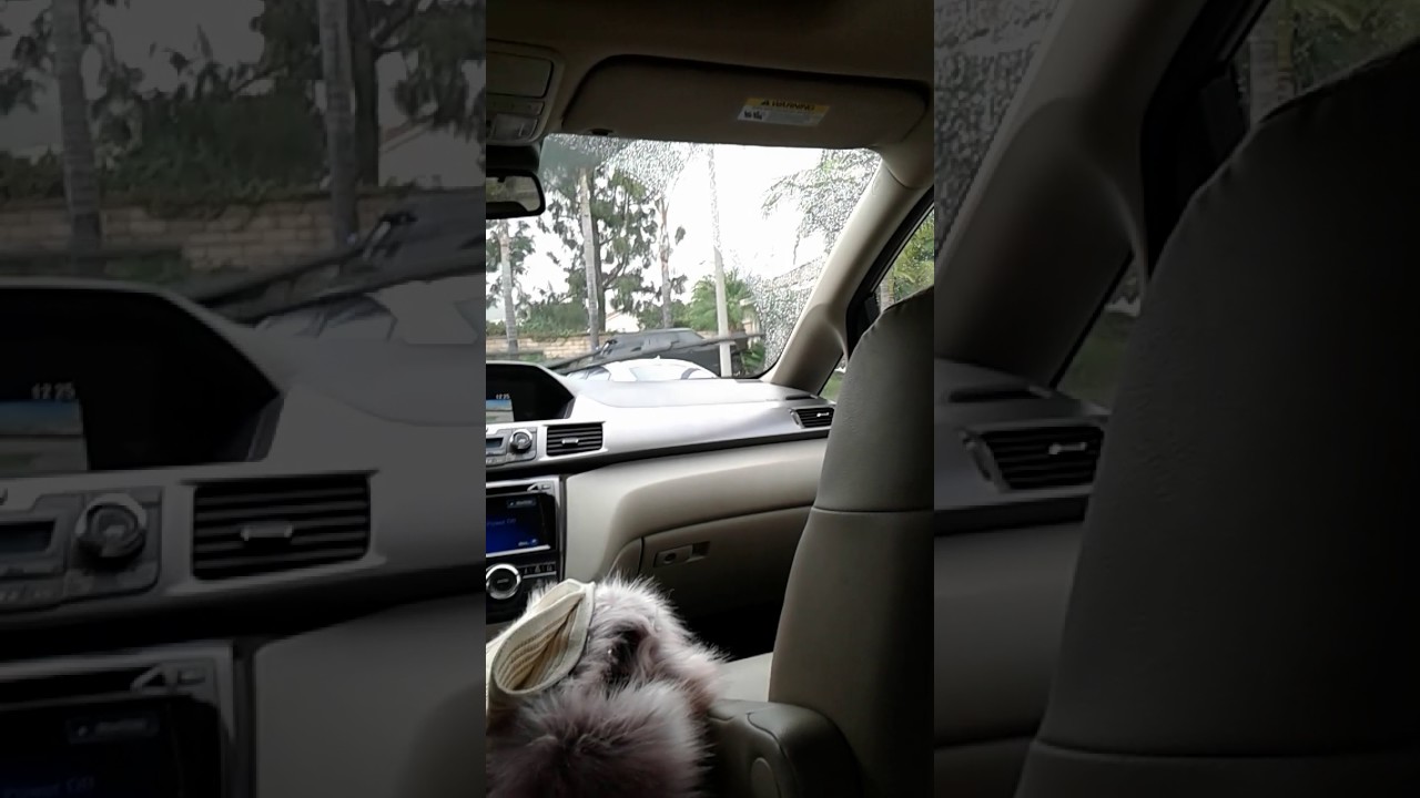 We saw mama rug and faze rug's house!!! - YouTube