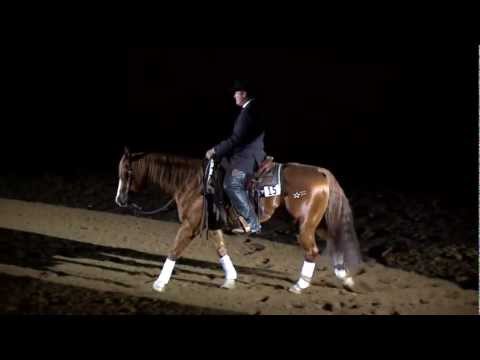 Freestyle Reining Performances You Have To See To Believe - COWGIRL ...