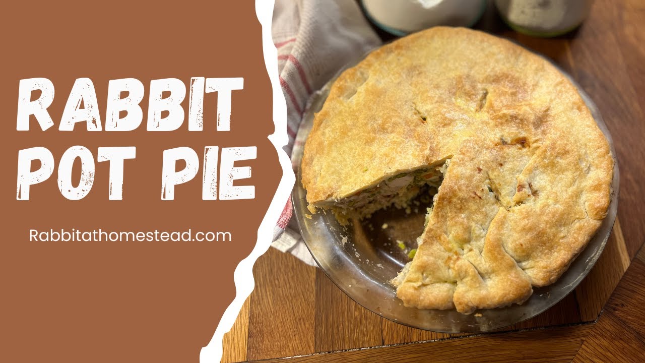 Perfect Rabbit Pot Pie: A Cozy Comfort Food Classic - YouTube