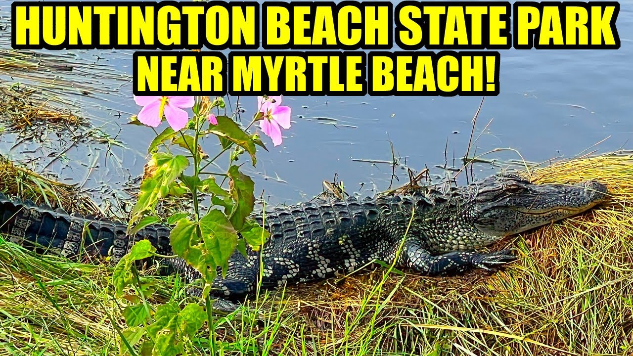 Huntington Beach State Park Tour! A Myrtle Beach Area Hidden Gem! - YouTube
