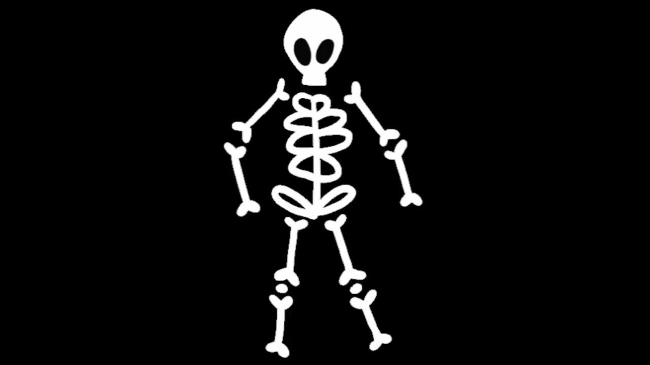 Interesting Facts About Our Body 2 YouTube interesting-facts-about-our-body-2-youtube