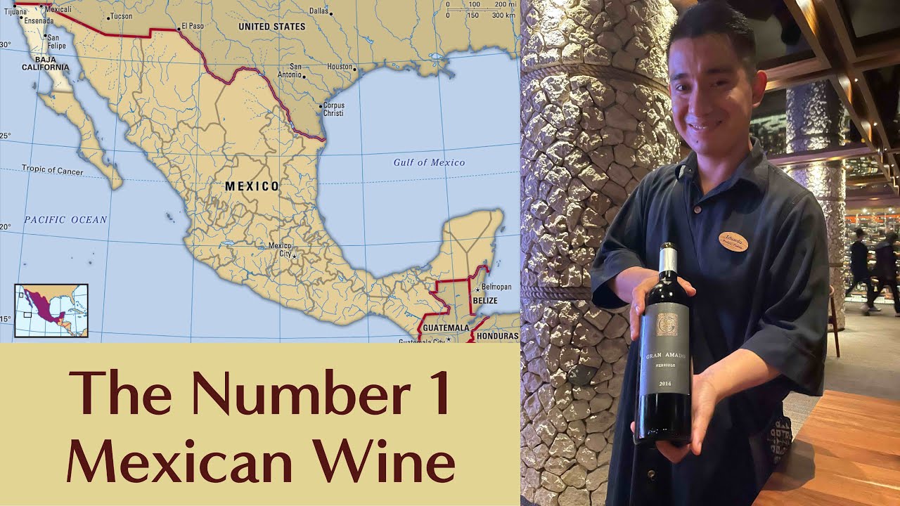 The Number 1 Mexican Wine - YouTube