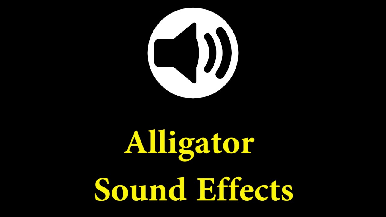 Alligator Sound Effects - Sound Effect Free Download - YouTube