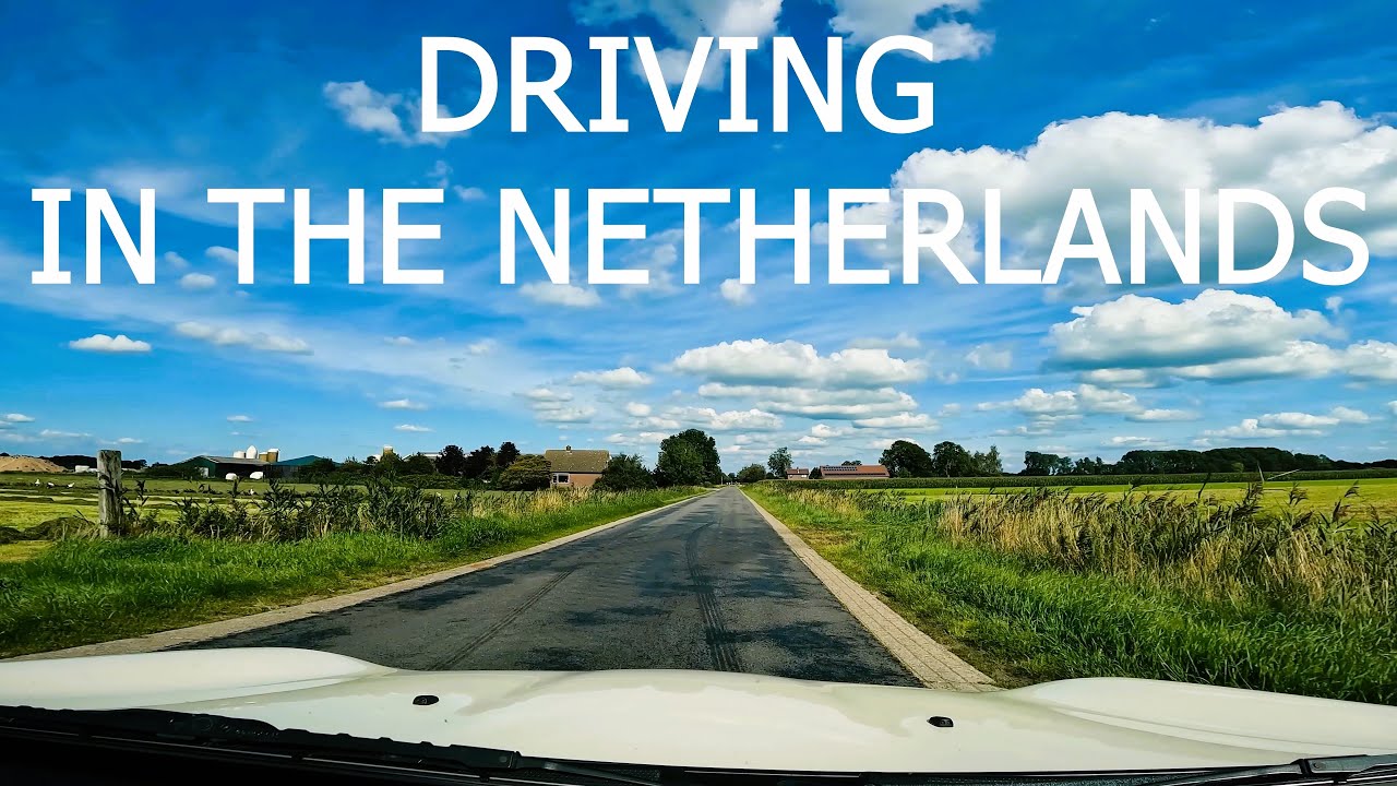 Relaxing Driving Therapy with Cozy Ambiance 4K - Driving in the ...