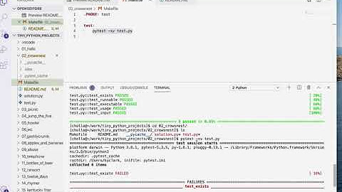 Tiny Python Projects: Chapter 2 (Crow's Nest) - YouTube
