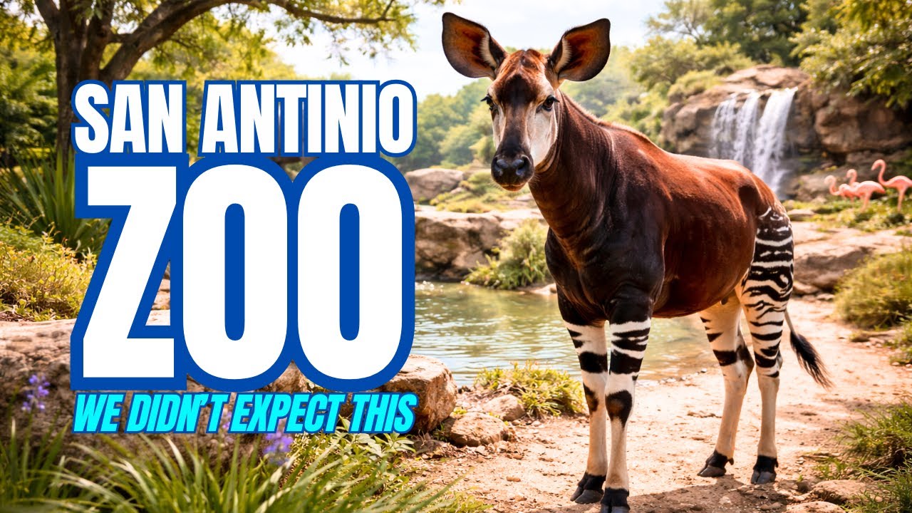 Did We Just Discover the BEST ZOO EVER!? Unforgettable Adventure Awaits ...
