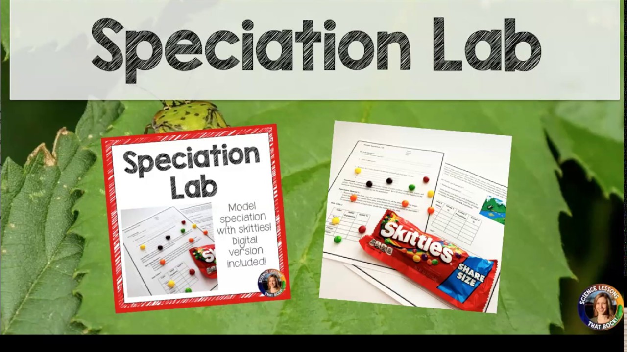 Speciation Lab Activity - YouTube