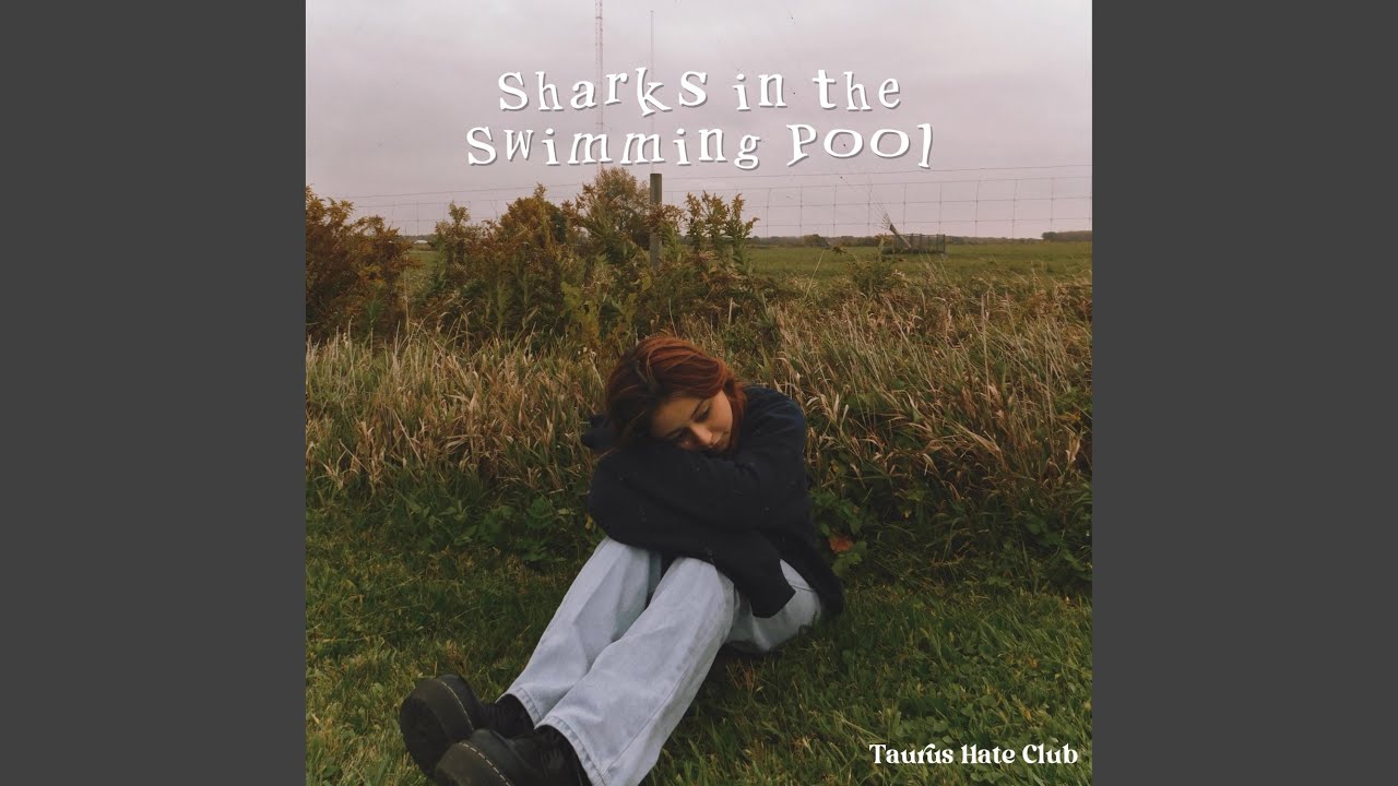 Sharks in the Swimming Pool - YouTube