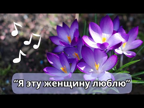 Душевная песня для любимой женщины, песня для тебя!