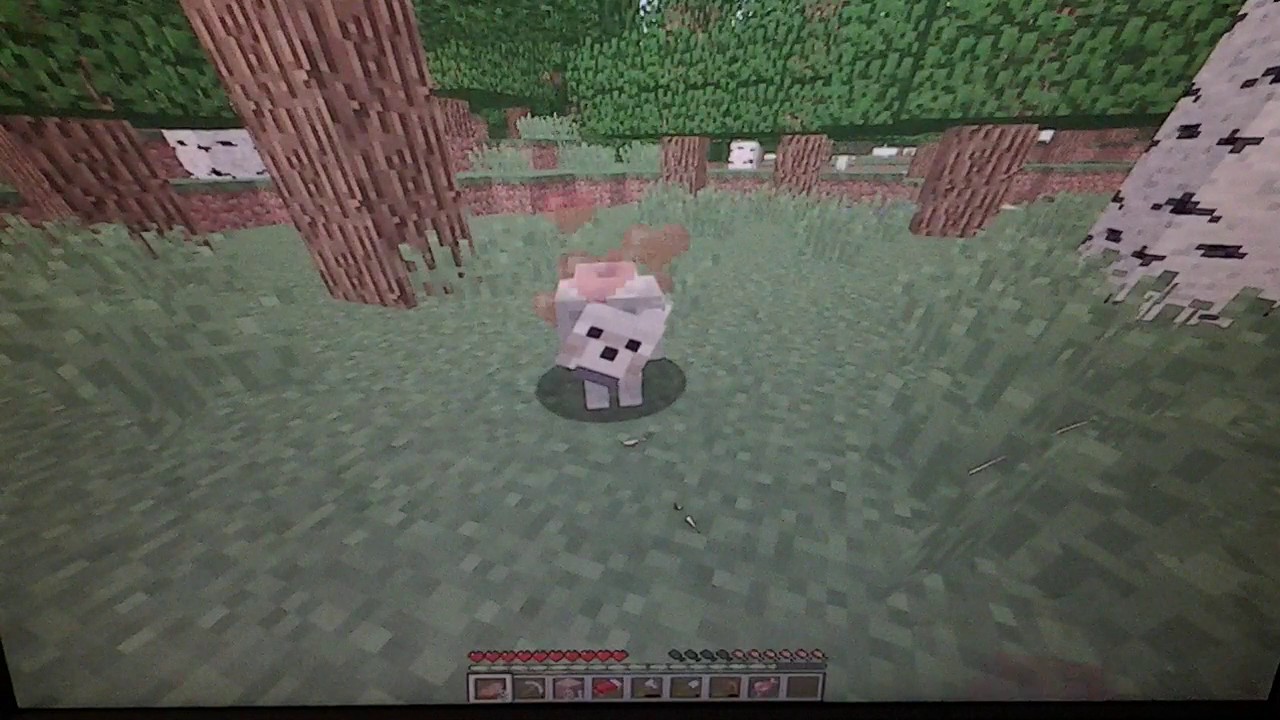 Tenemos perritos/minecraft #2 - YouTube