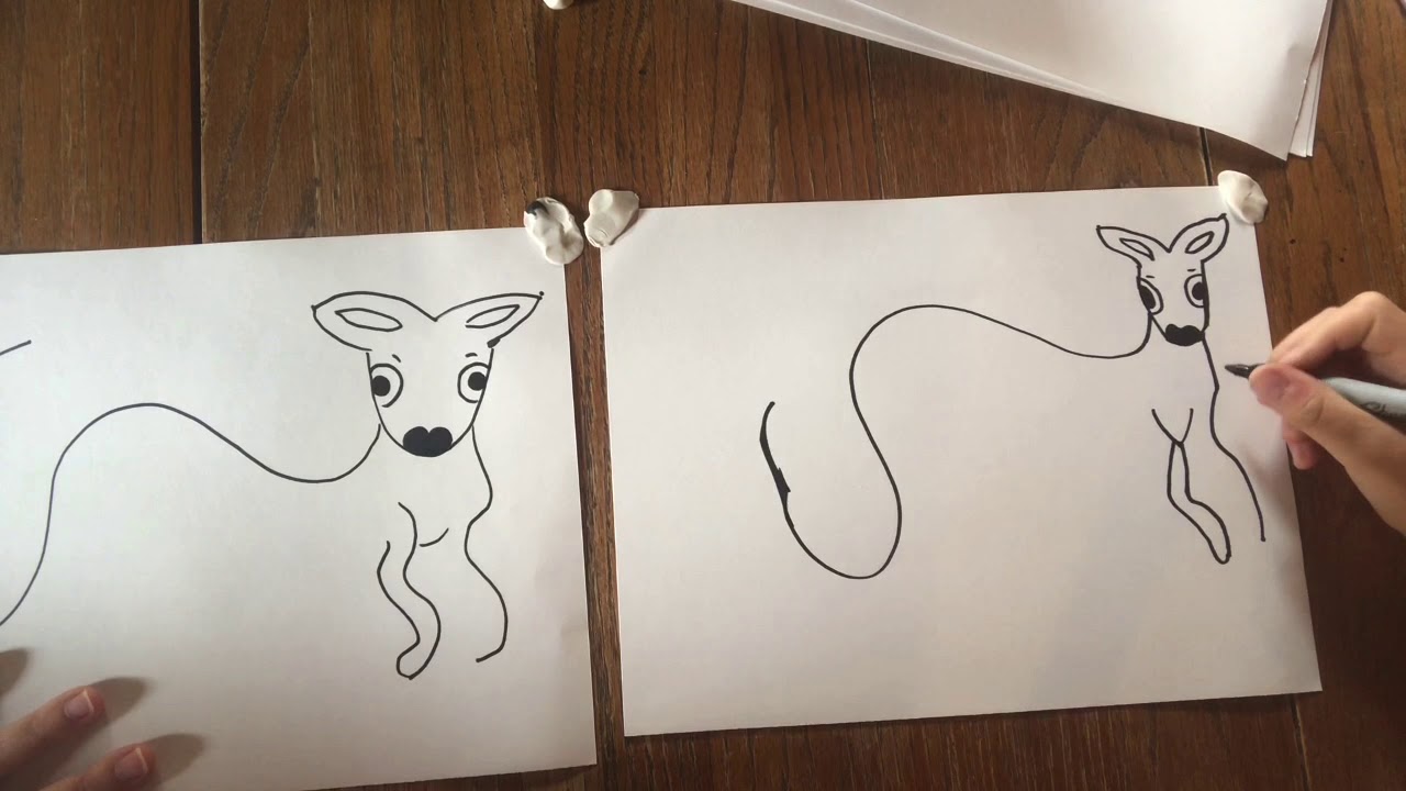 How to Draw a Wallaby - YouTube