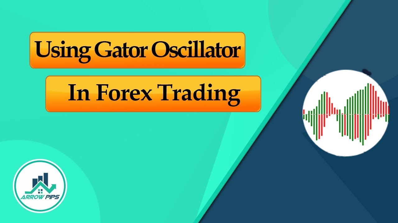 How to Use Gator Oscillator to Trade Forex? - YouTube