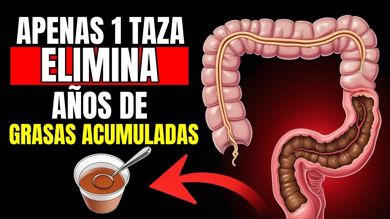 Bebe Esto en la Mañana para Eliminar Rápidamente Grasas Tóxicas ...