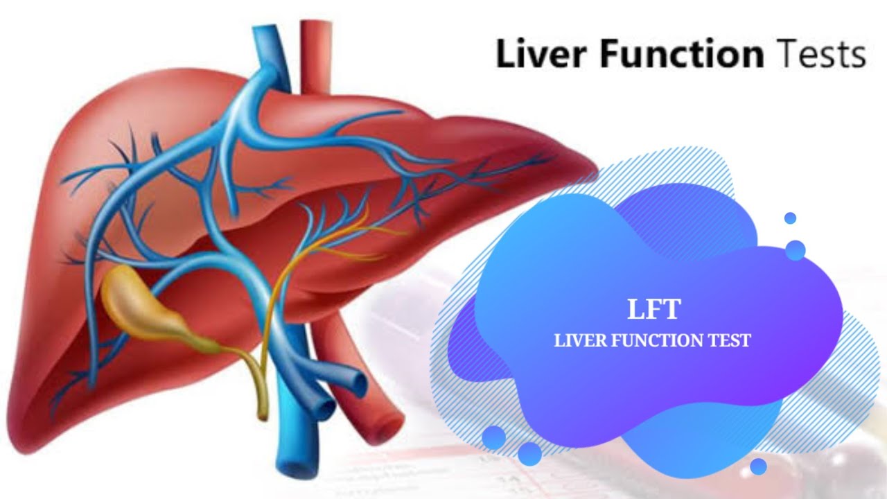 A typical liver function test (LFT) panel || लिवर फंक्शन टेस्ट ...