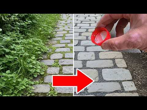 Я 30 лет искал этот рецепт! Как уничтожить траву навсегда между плиткой