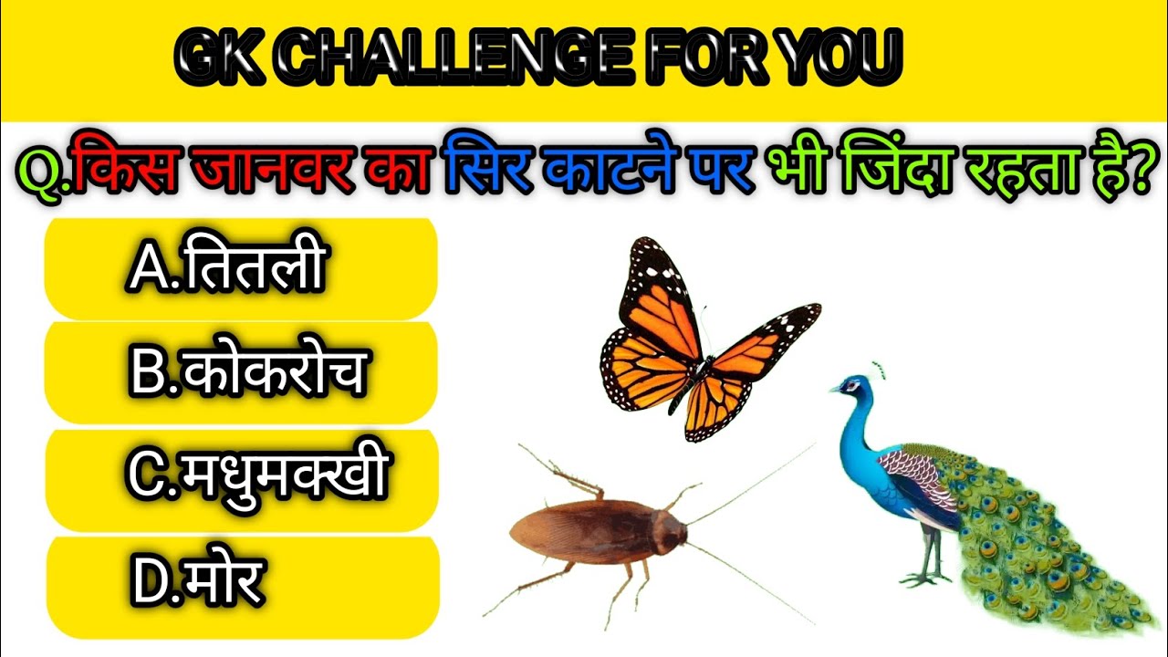 General knowledge Quiz multiple choice || Samanya Gyan || General ...
