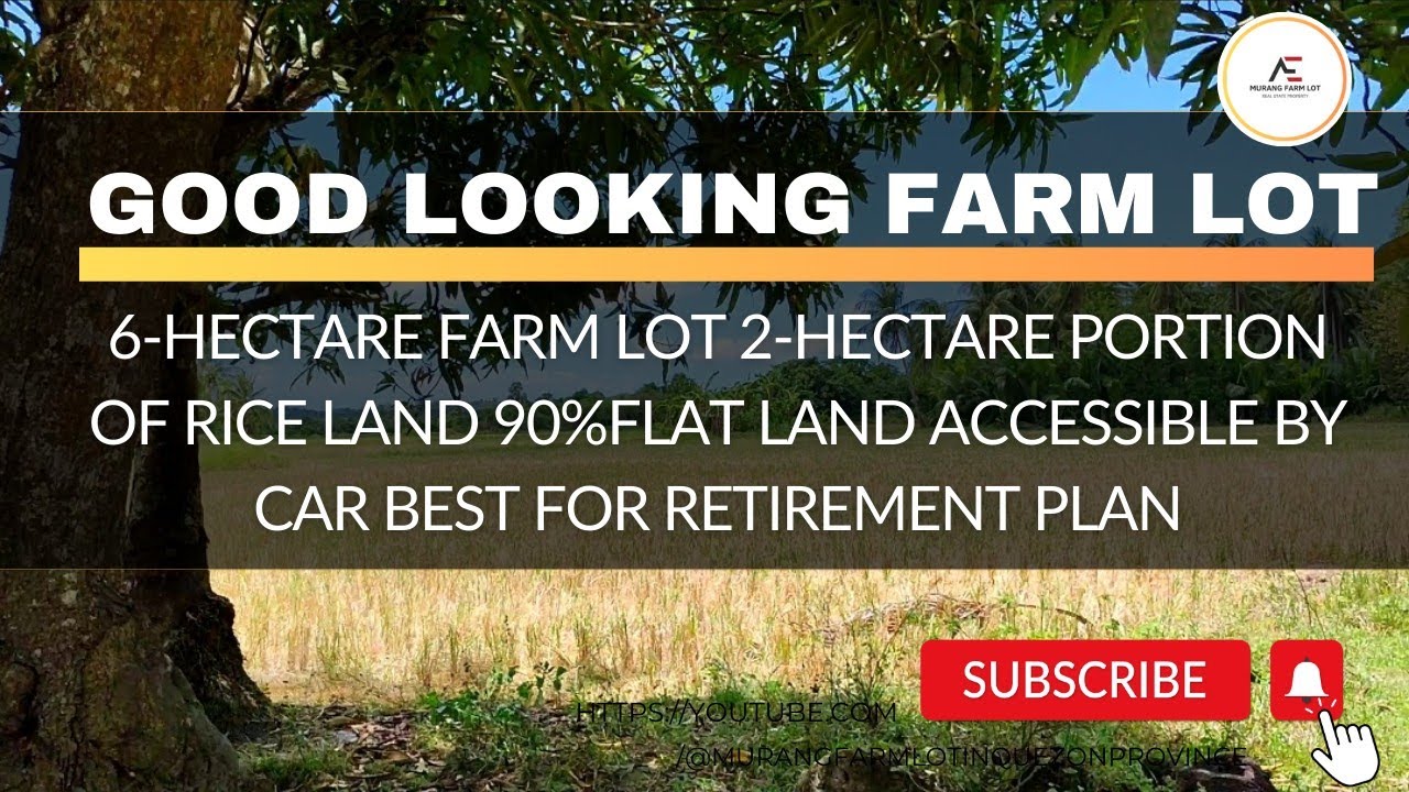 (Vlog#047) 6-hectare farm lot. 2-hectare portion of rice land 90% flat ...