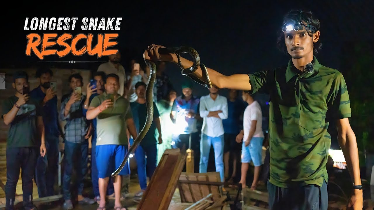 Biggest Snake Rescue | MULTIPLE RESCUES PART 7 - YouTube
