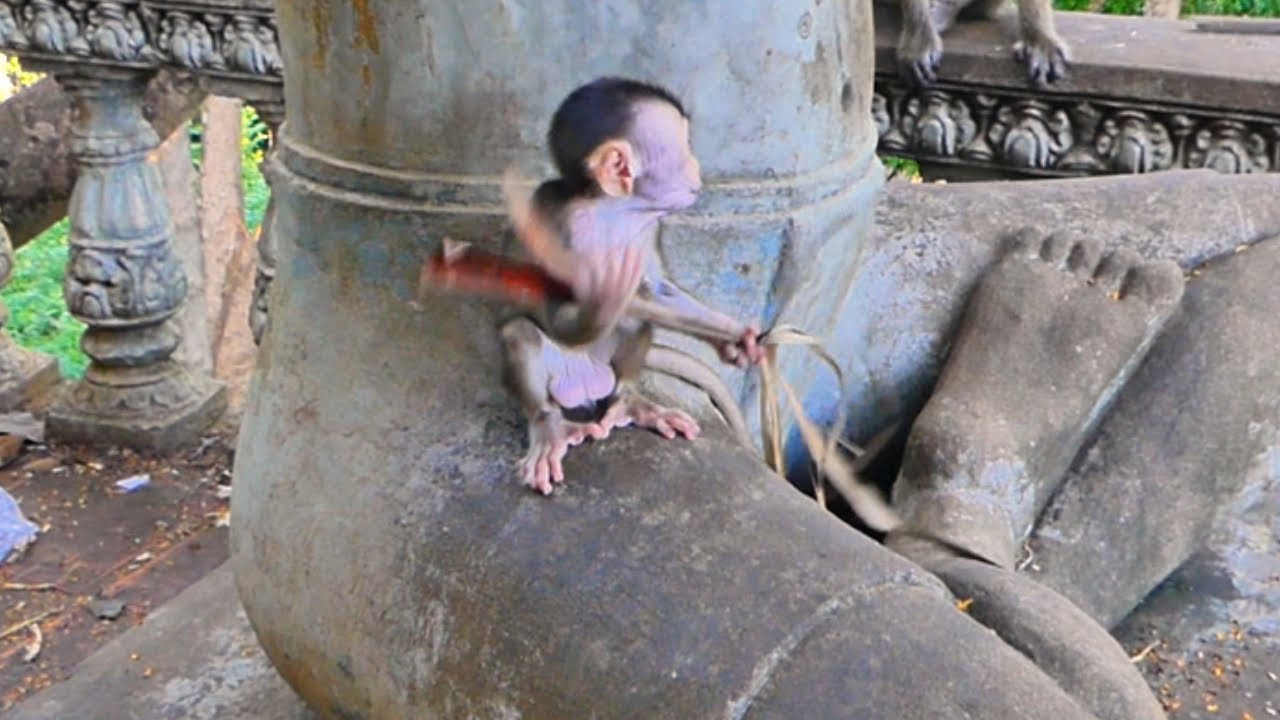 Playtime with a New Friend: Jessy's Day Out - YouTube