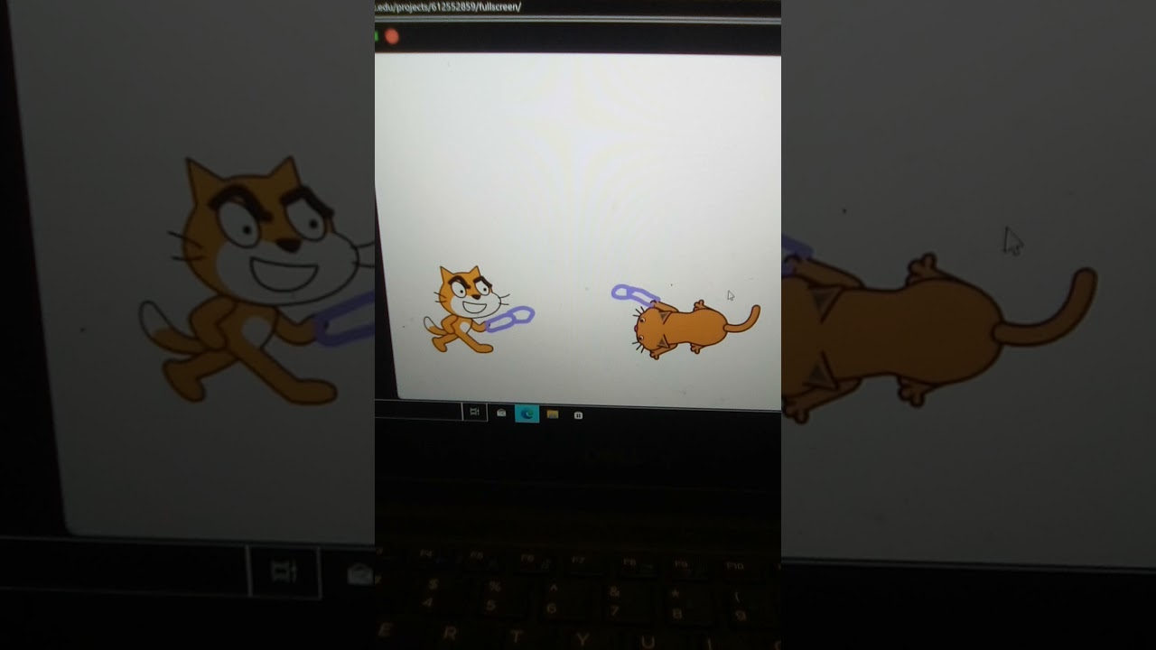 Scratch cat vs cat2 - YouTube