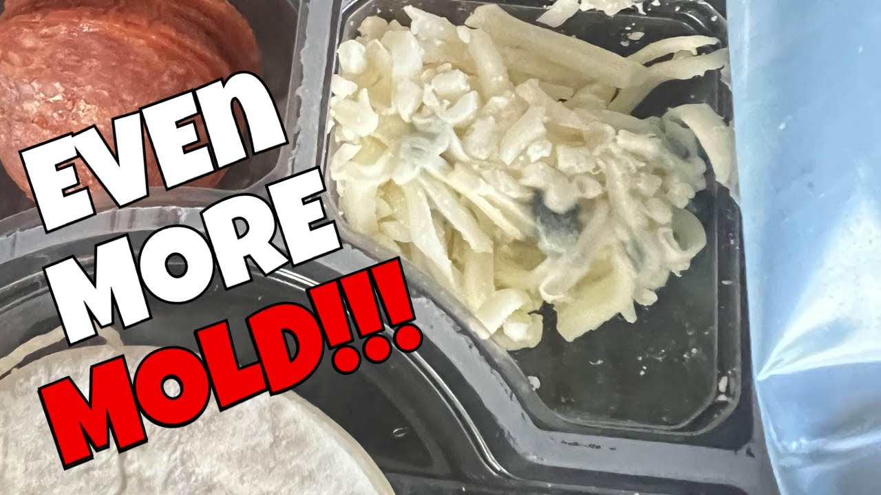 Lunchly's Mold Problem Got Worse.. - YouTube